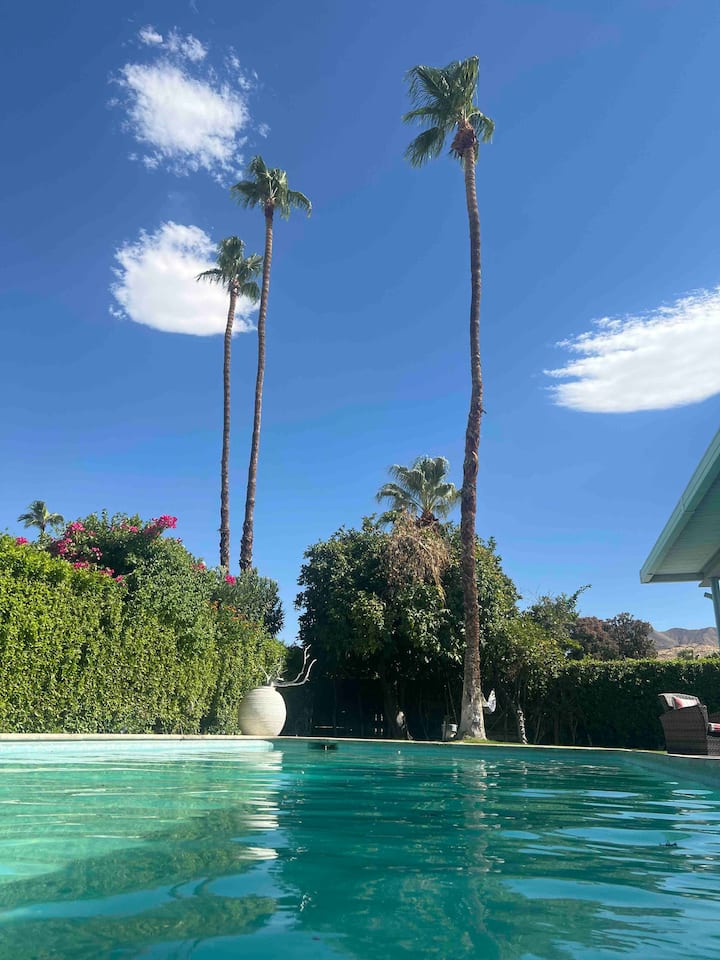 Elvis Presley Art Golf Course Private Pool Pets - Cathedral City, CA