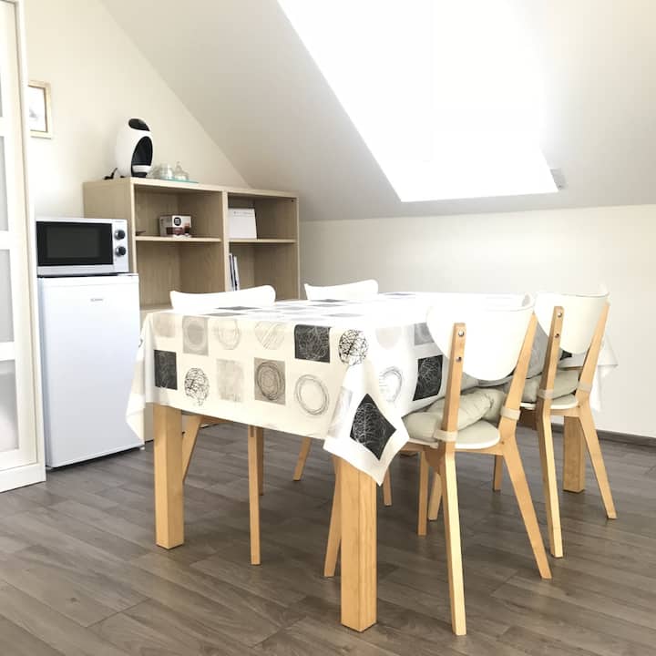 Studio In Ingelheim - Gau-Algesheim