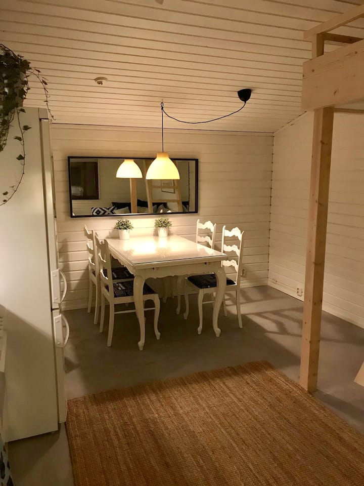 Cozy Woodhouse Flat With Wooden Sauna - Turku