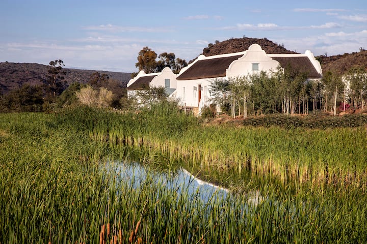 Buffelsdrift Farm | R62 Klein Karoo Farm Retreat - Ladismith