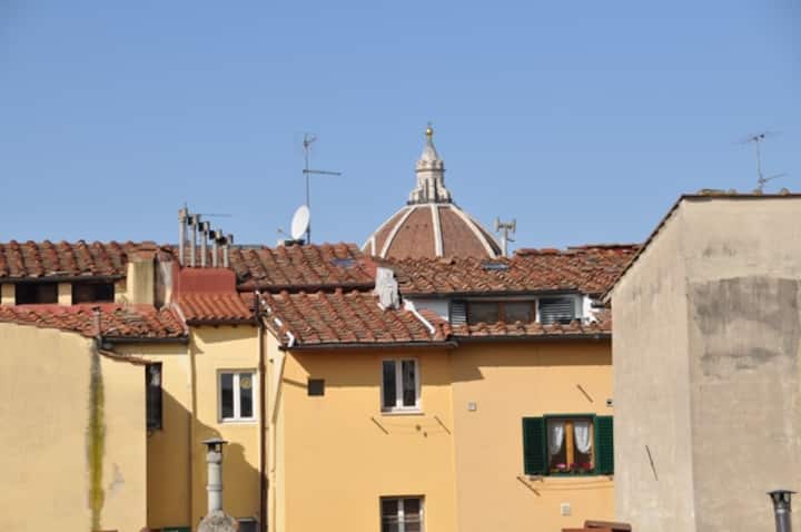 City Center With Beautiful View - Florencia