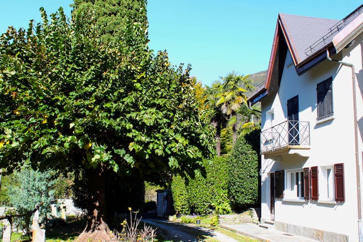 Pontetto-Roldo Vacation Rentals & Homes - Piedmont, Italy | Airbnb