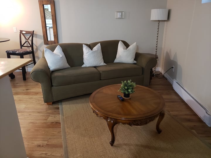 Clean, Cozy,  Centrally Located Private Apartment! - Thunder Bay