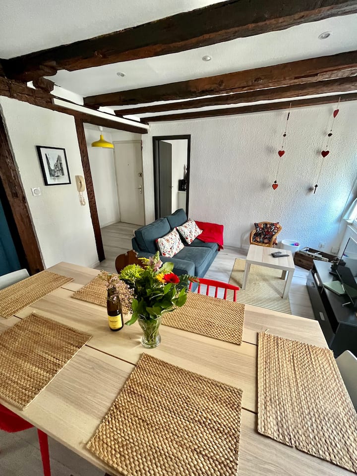 ☆ Le Gîte Le Colmarien ☆ Hyper Centre ☆ - Colmar