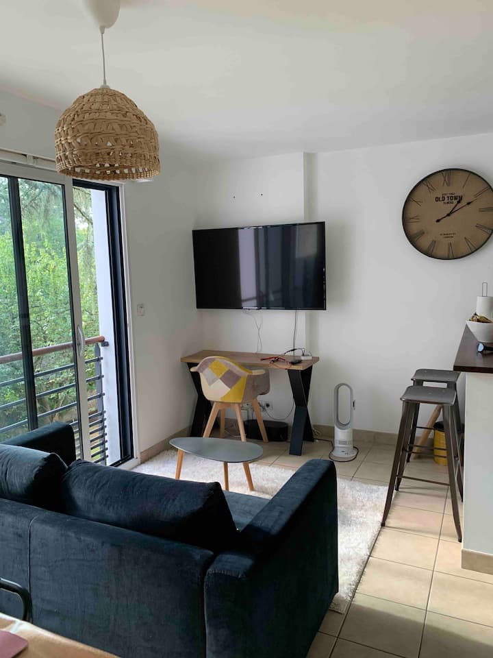 Appt Cosy Face Jardin Des Plantes, Parking Privé - Nantes