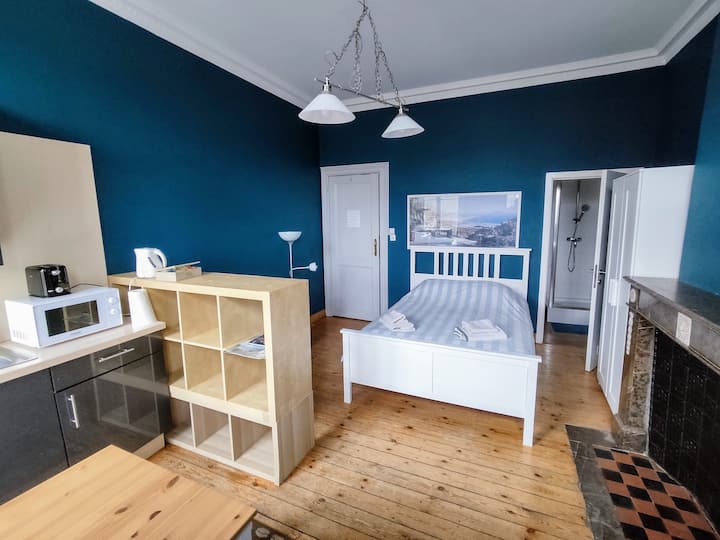 Studio Lumineux Et Confortable Près De Montgomery - Auderghem