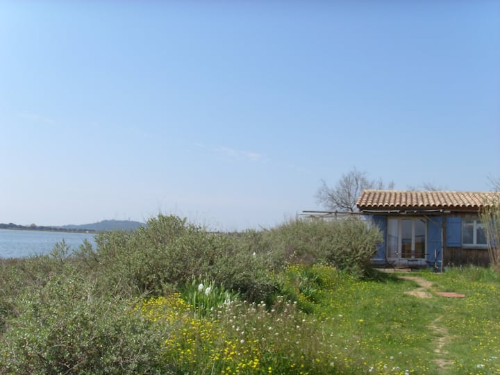 Gites De Thau - La Plagette, Les Pieds Dans L'eau - Marseillan