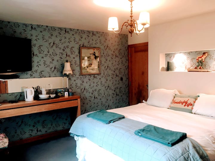 Deluxe Suprking/twin Private Access 5 Min Town Sk1 - Westport, Ireland