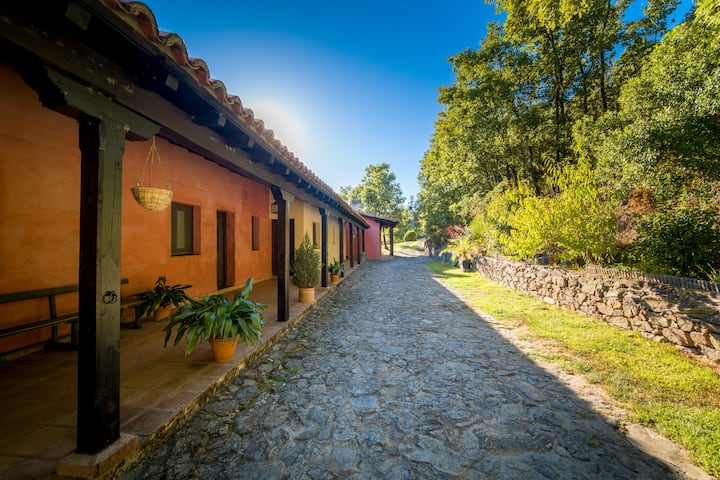 Aptos. Casasturga. Loft Con Chimenea At-cc-0053 - Cuacos de Yuste