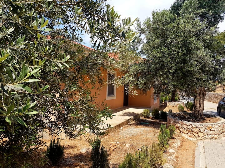 Villa In Patara With A Pool And Nice View - Ova