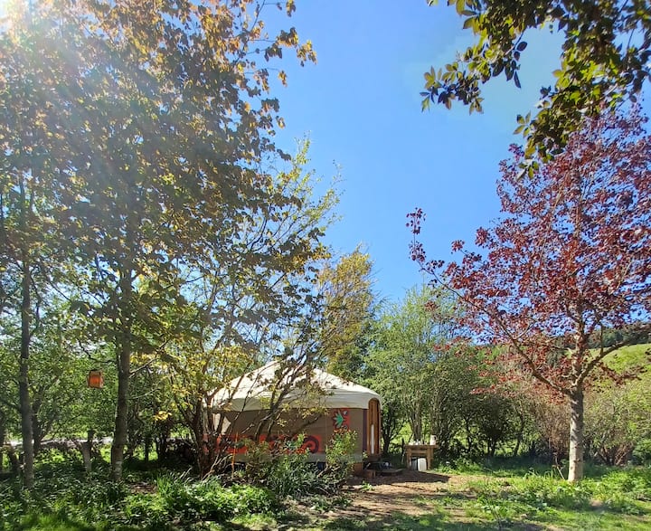 Yurt Stays On Offgrid Land In The Scottish Borders - Innerleithen