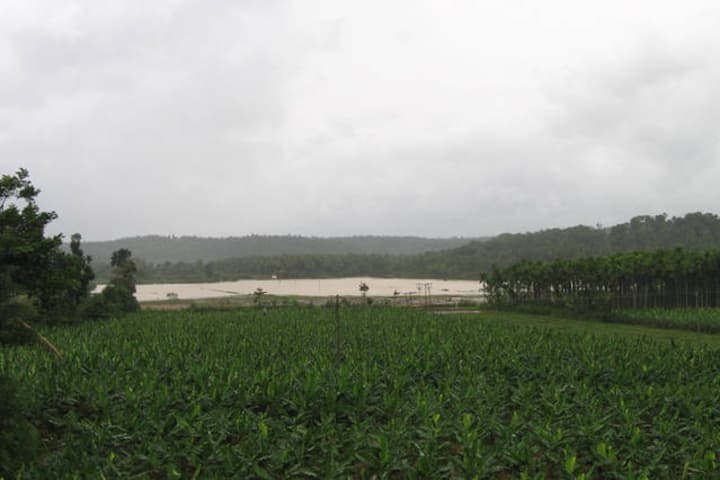 Enteveedu Homestay-bamboo Cabin Room Vayu - Wayanad