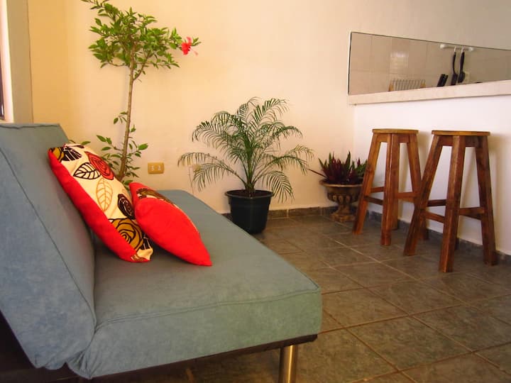 Casa De Hojas En El Centro!! - Playa del Carmen