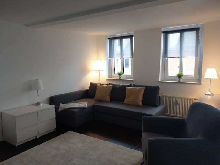 Gemütliche Dachgeschosswohnung In Chemnitz - Chemnitz