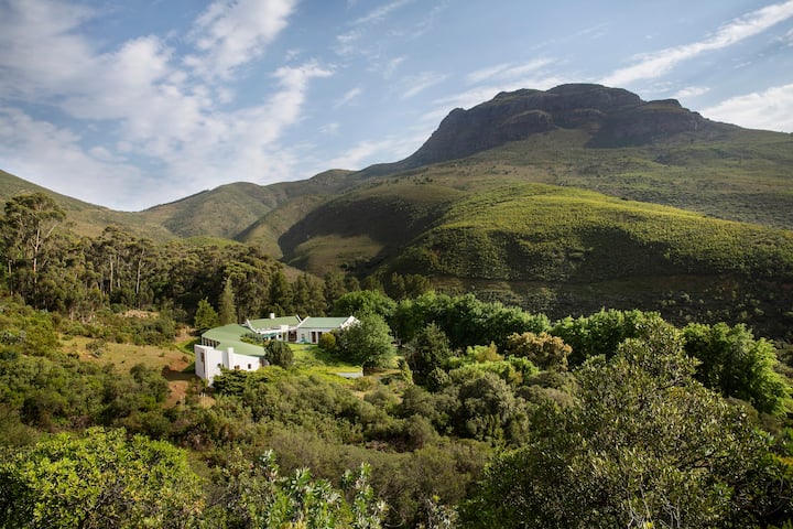 Hidden Retreat In The Heart Of Stellenbosch - Stellenbosch