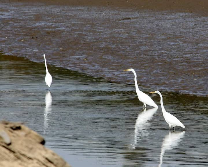 7 Best Yurts Near Pigeon Forge, Tennessee - Updated 2025 | Trip101