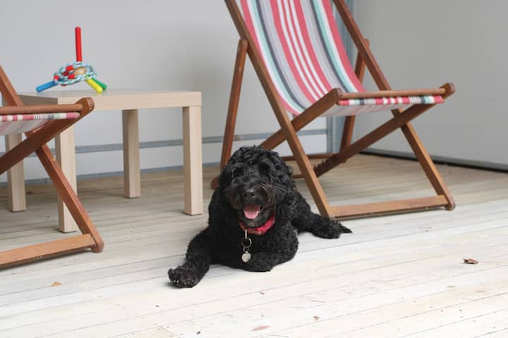 Mcfarlane Street Robe - Pet Friendly - Robe