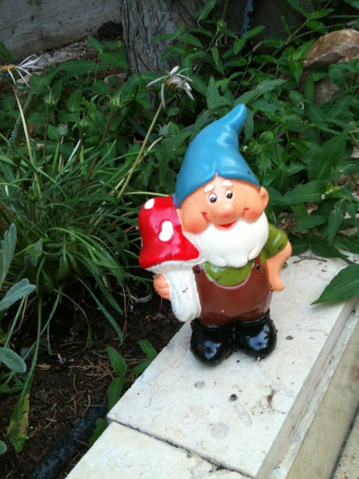 Katamon...coeur De Jérusalem - Jerusalem