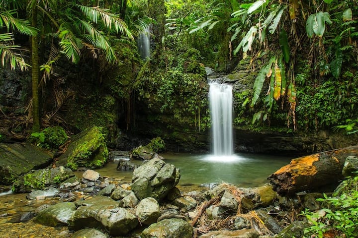 Paradise Retreat Near El Yunque - Canovanas
