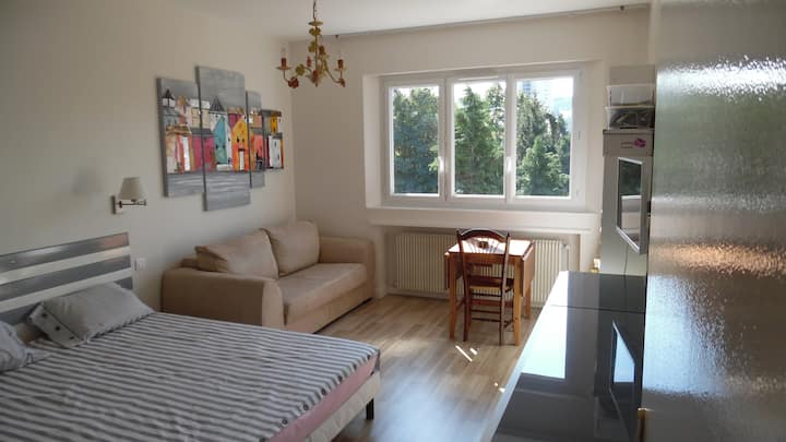 Chambre Chez L'habitant 4 Pers, Pt Déj Inclus - Saint-Étienne