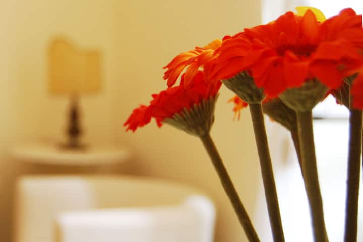 Simon's Suite - Cœur De Rome - Rome