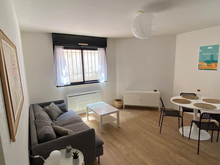 Appartement 2 Chambres à Coté Du Capitole - Toulouse