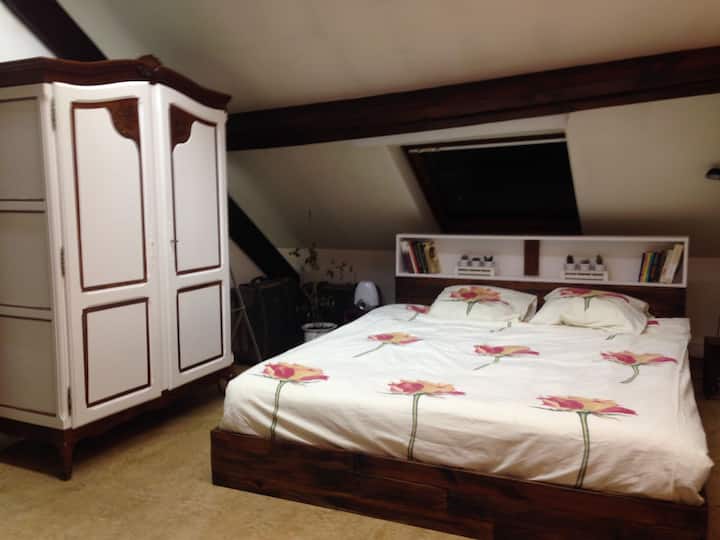 Cozy Accomodation Studio Near Ribaucourt Station - Asse