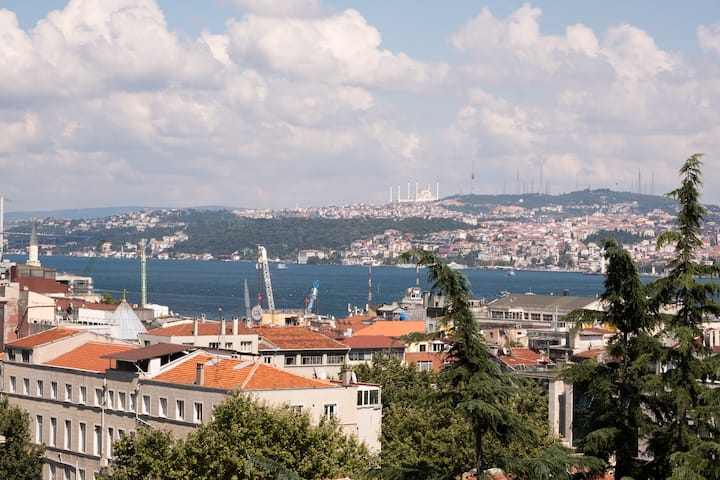 Uniq Flat With A Bosphorus View In Galata - Istanbul