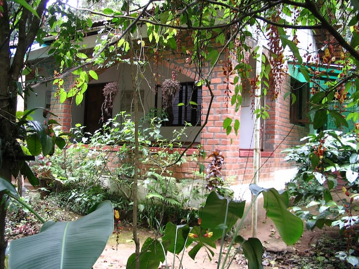 Rainforest Retreat 2 Cottages - Coorg (Kodagu)