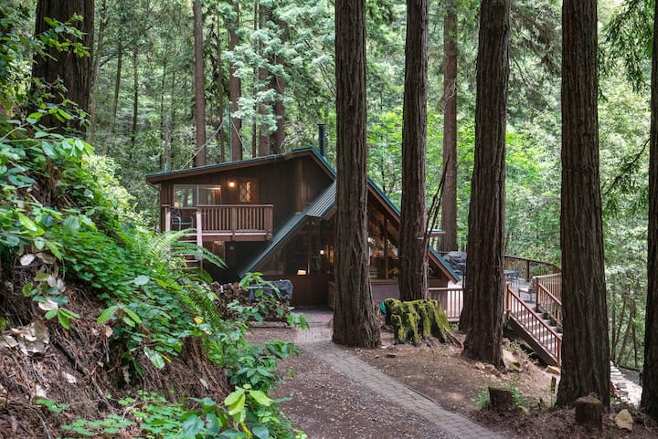 Redwood Retreat - 191203 - Morgan Hill, CA