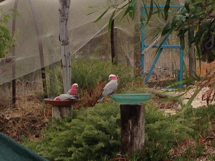 Wyder Visions - Busselton