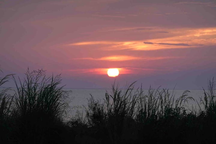 Beach Front Cc With Expansive Heated Pool And Tiki - Cape May, NJ