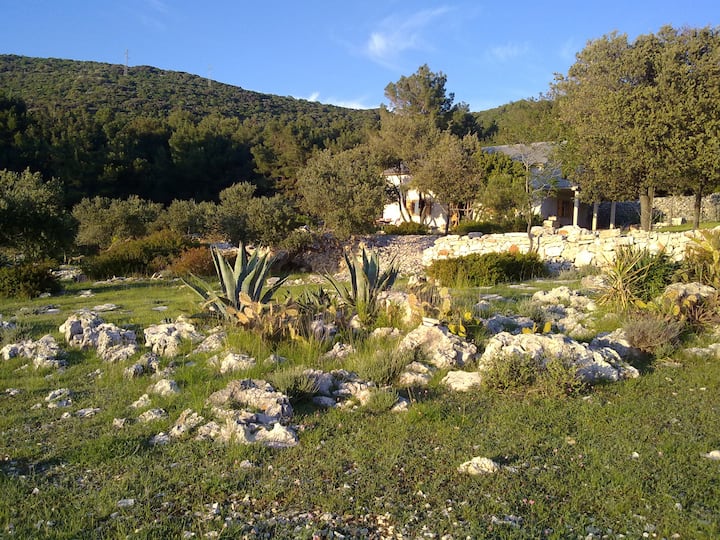 Entire House By The Sea - Mali Losinj