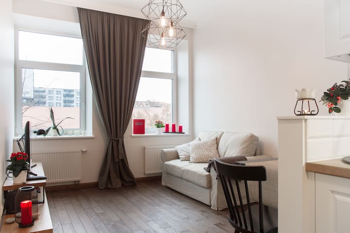 Lovely Apartment In Center With Private Parking - Vilnius