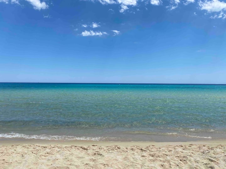 Villa A Costa Rei



Iun (S1755) - Costa Rei