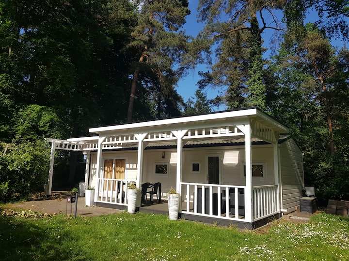 Bos Chalet 511 Te Lochem - Netherlands