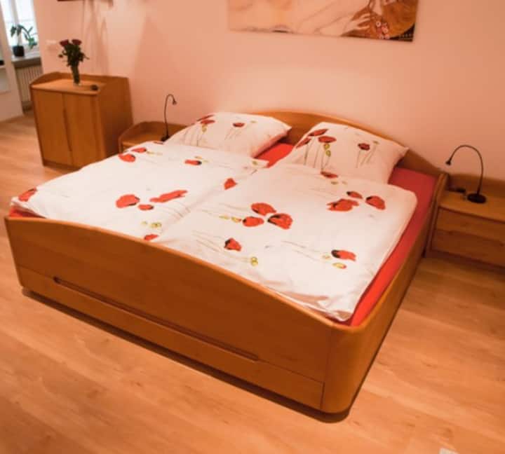 Aufhauser Hof (Rbg), Fewo 47qm Altstadt Mit Küche - Regensburg