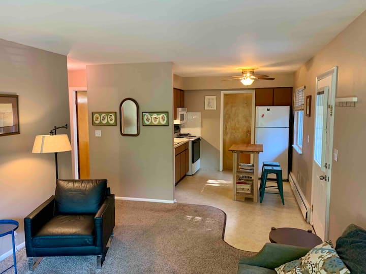 1 Bed/bath Less Than A Mile From Downtown. - Ann Arbor, MI