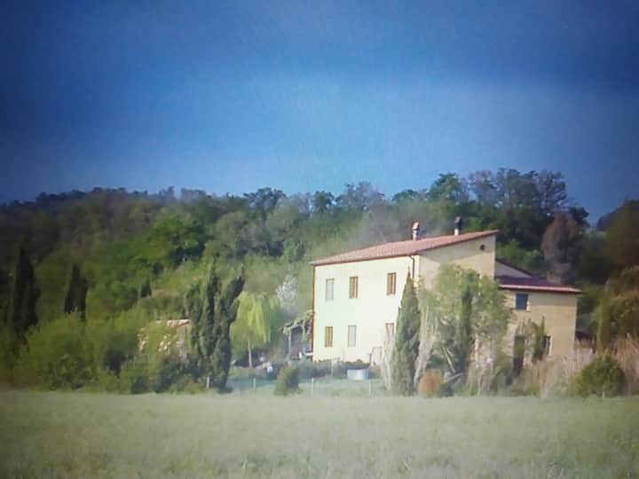 Casaglia
64 Qm - Bibbona