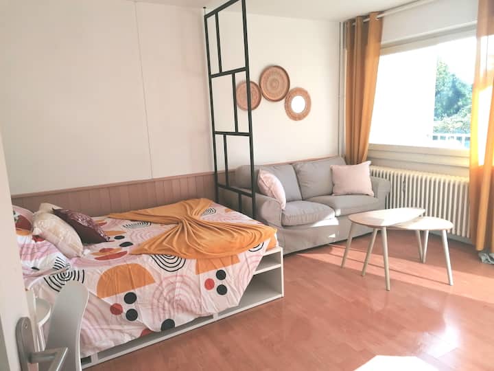 Appart Cosy Avec 2 Terrasses "Location Mensuelle" - Annemasse