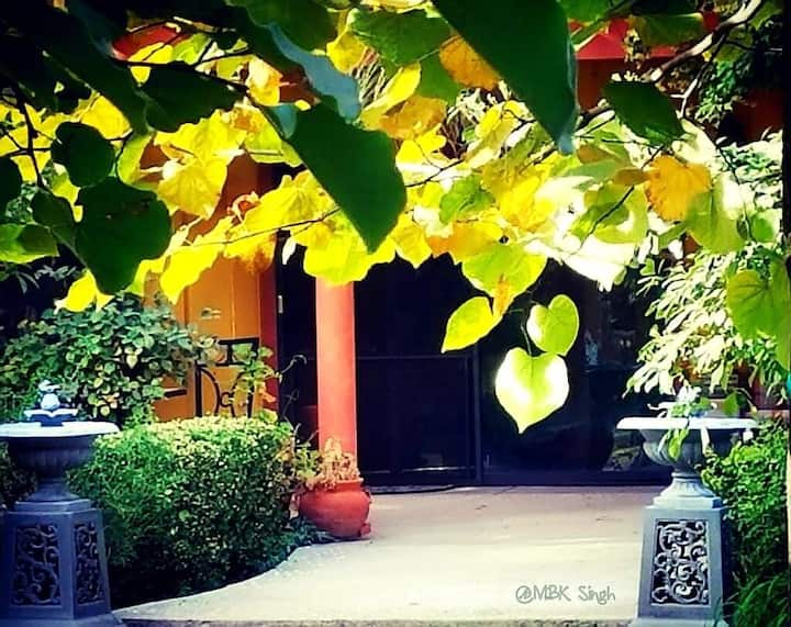 Captain Villa - Amritsar