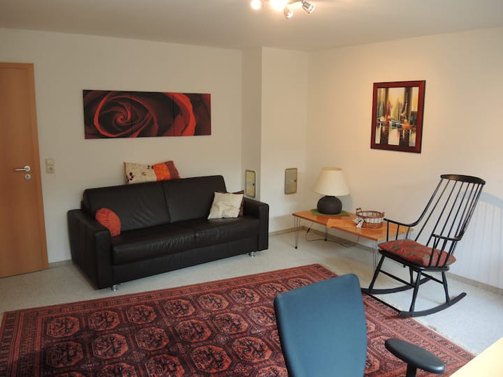 Schicke Souterrainwohnung In Weinheim, Bergstrasse - Weinheim