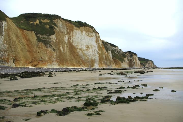 Villa D'albatre *** - Dieppe