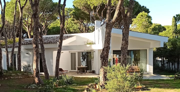 Diseño Y Luz Entre Los Pinos - San Fernando, Spain