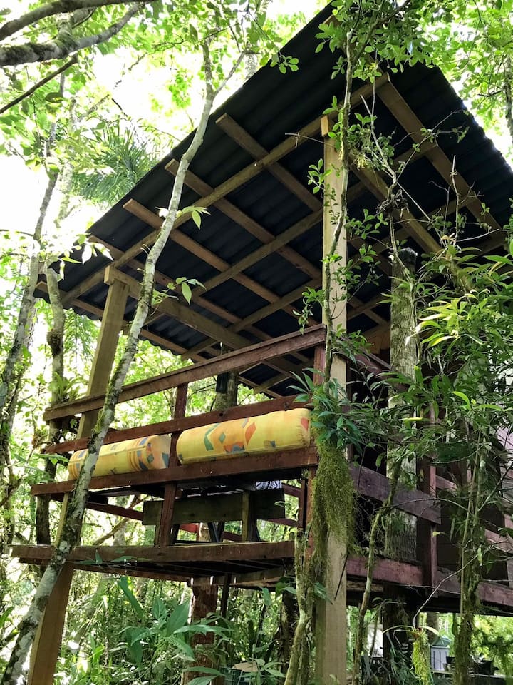 Cabana Lua - Woods - Maquiné