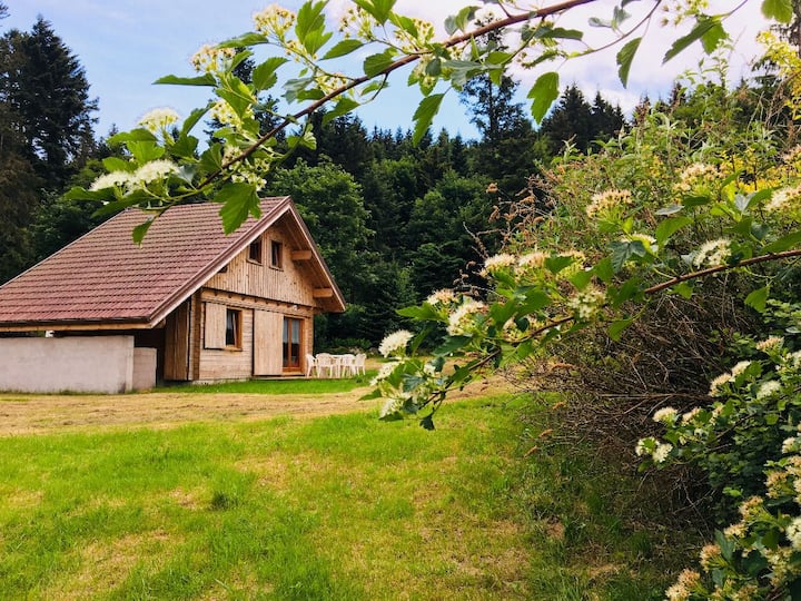 Chalet Le Chamois 2-5p, 5m Lac Pistes, Linge Comp - Gérardmer