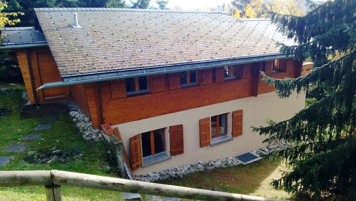 Verbier Les Esserts Family Chalet - Verbier