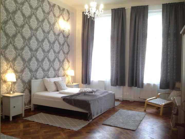 Spacious Apartment Near The Main Train Station - Prága