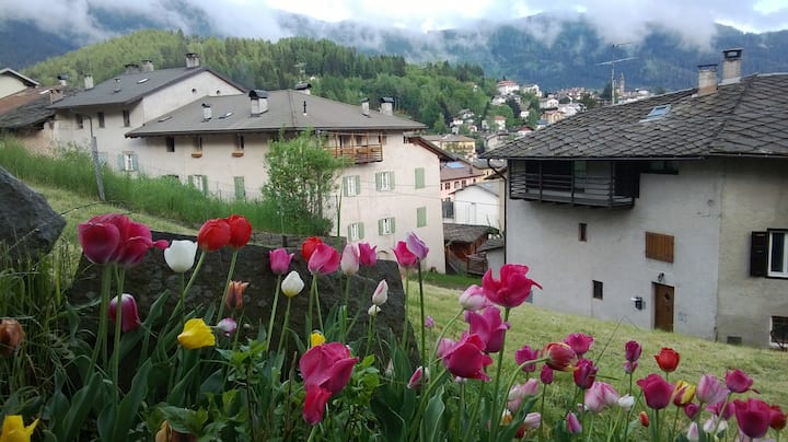 Casa Barbicanevei Gian - Baselga di Piné