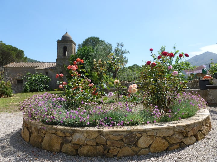 Appartamento Dell'assunta - Portoferraio